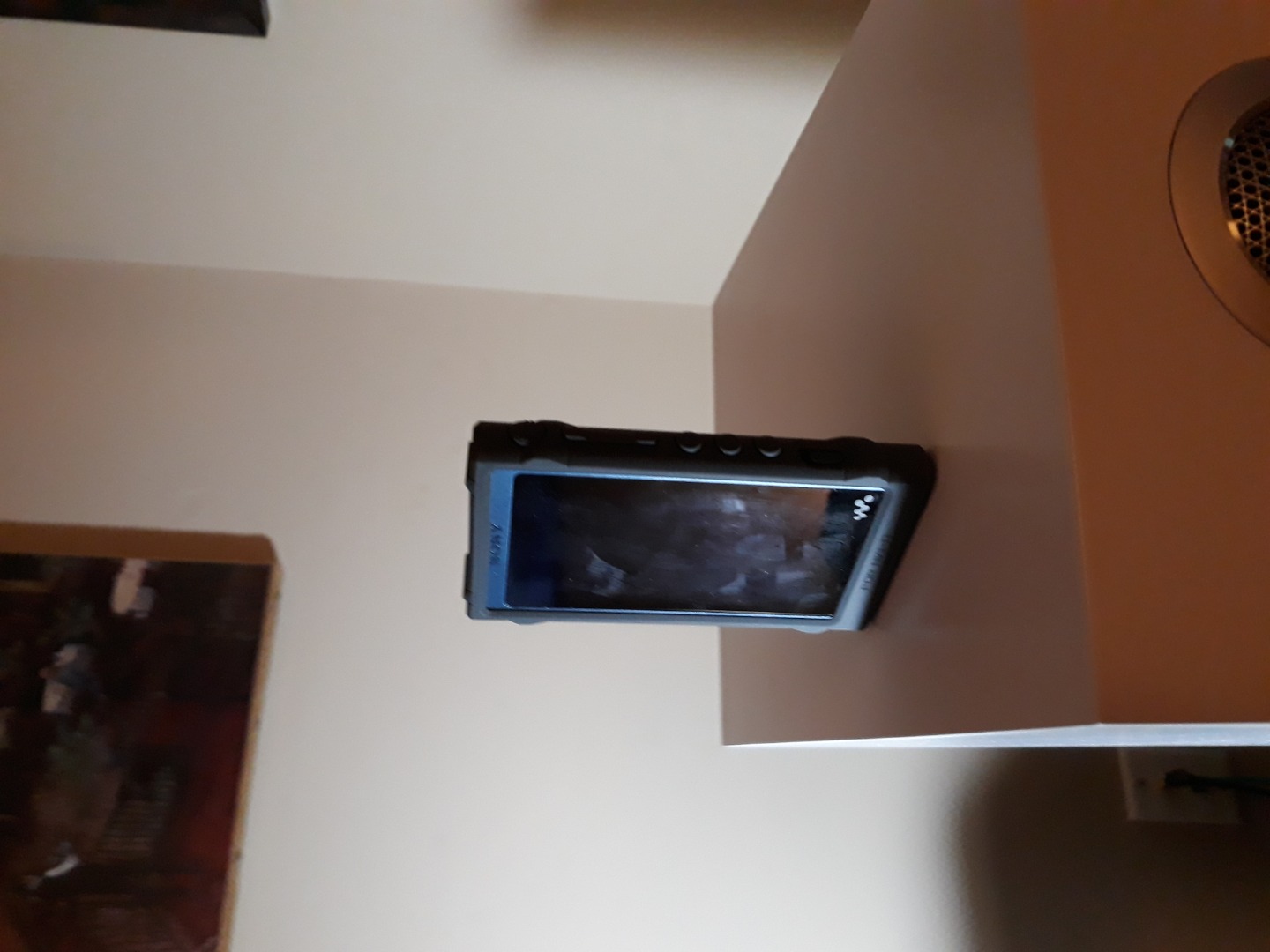 Customer Reviews: Sony NW-A55 Walkman® (Blue) High-resolution portable ...