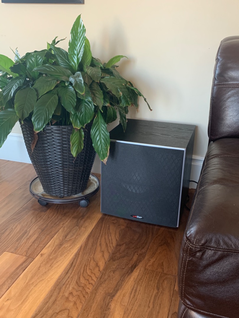Customer Reviews: Polk Audio PSW10 (Black) Powered subwoofer at Crutchfield