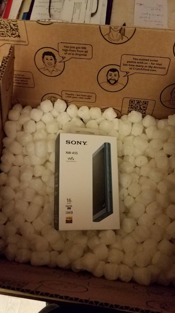 Customer Reviews: Sony NW-A55 Walkman® (Blue) High-resolution portable ...