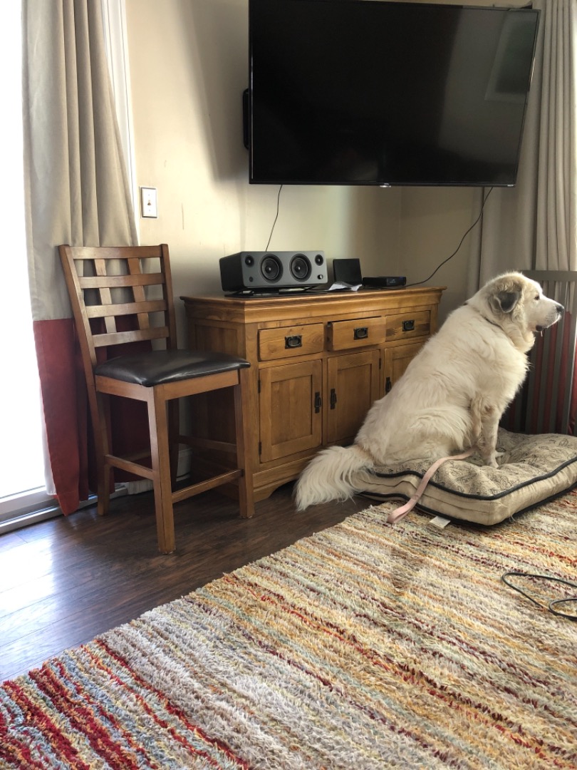 Customer Reviews: Kanto SYD (Matte Black) Powered bookshelf speaker ...