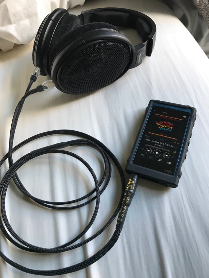 Customer Reviews: Sony NW-A55 Walkman® (Blue) High-resolution portable ...