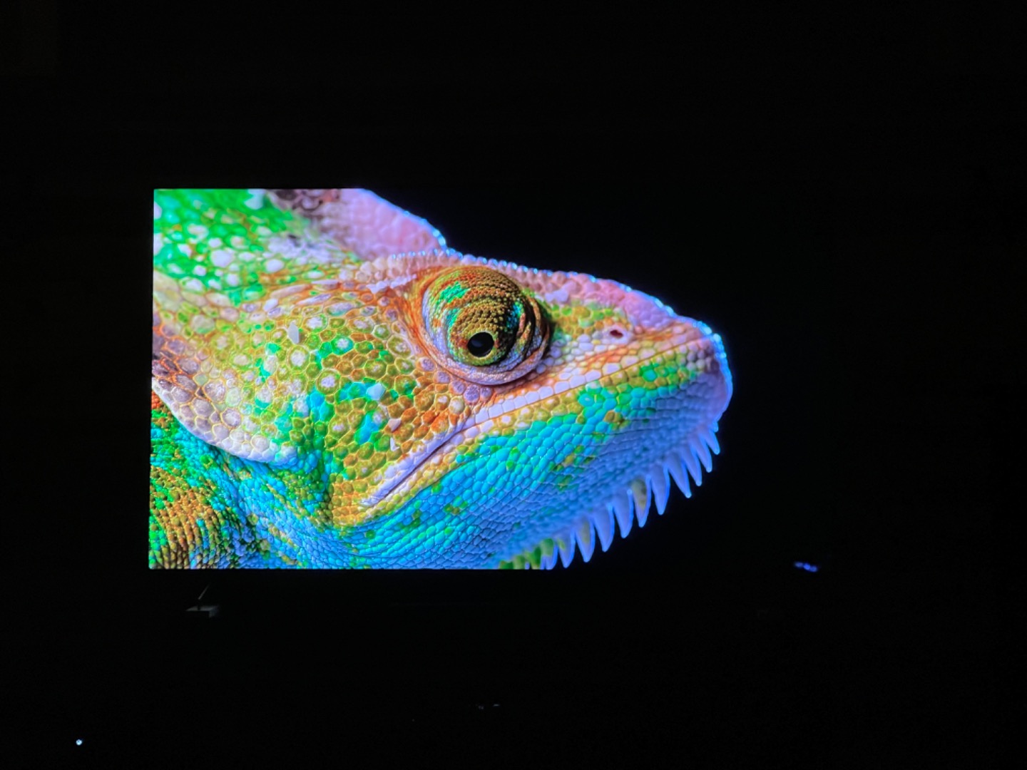 Customer Reviews: Sony KD-85X91J 85" X91J Smart LED 4K UHD TV with HDR ...
