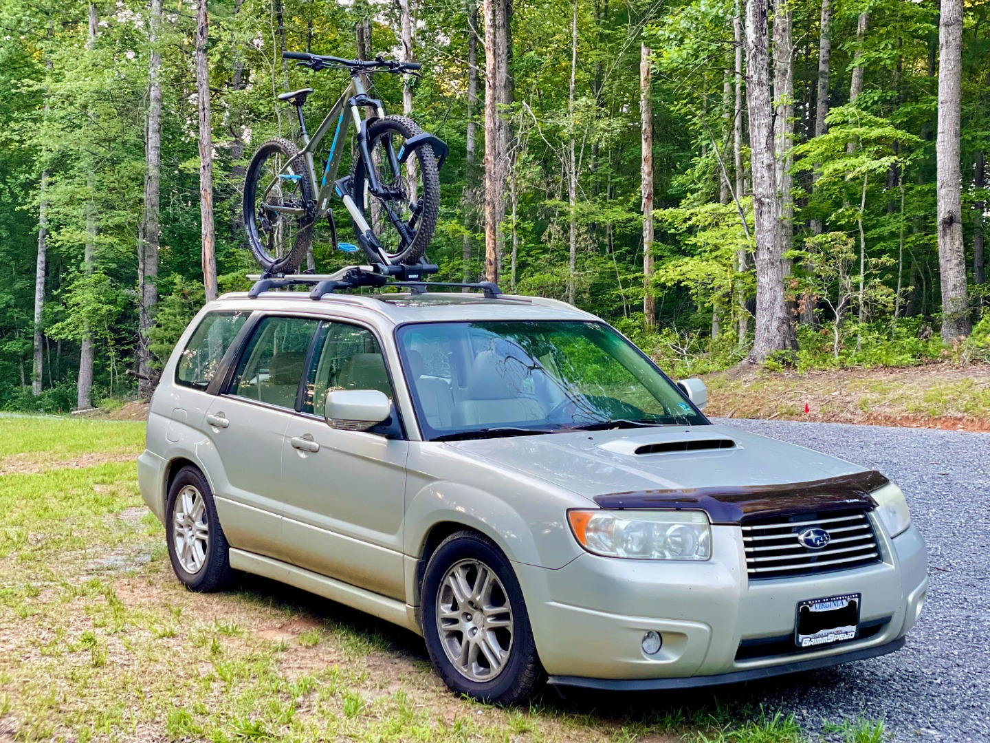 Customer Reviews: Thule UpRide Universal upright bike rack at Crutchfield