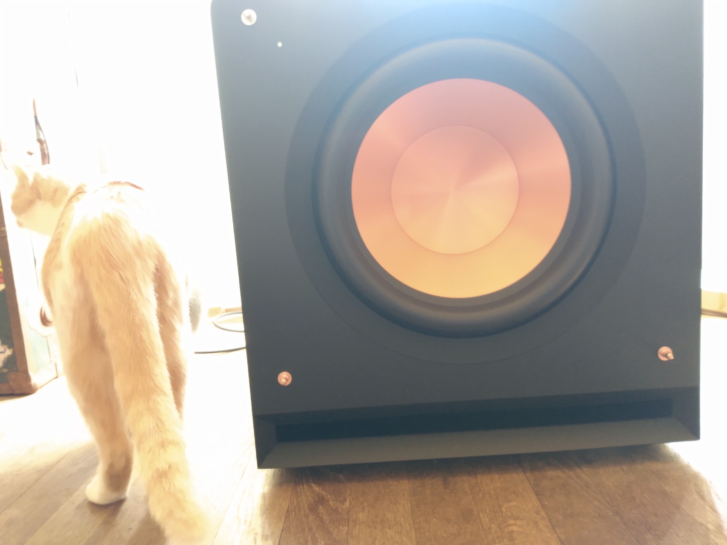 Customer Reviews: Klipsch Reference Premiere RP-1200SW Powered ...