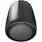 JBL Control 65 P/T (Black) 5-1/4" commercial weather-resistant pendant ...