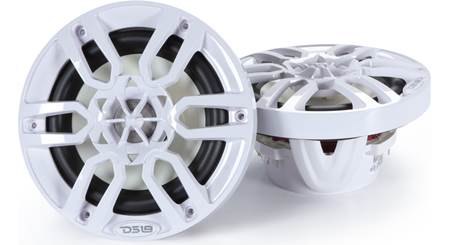 DS18 professional-grade amps, speakers, and subs