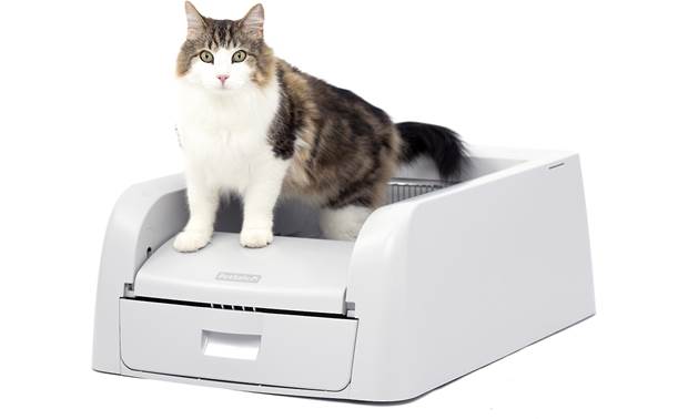 Product Videos: PetSafe ScoopFree® Clumping Self-Cleaning Litter Box ...