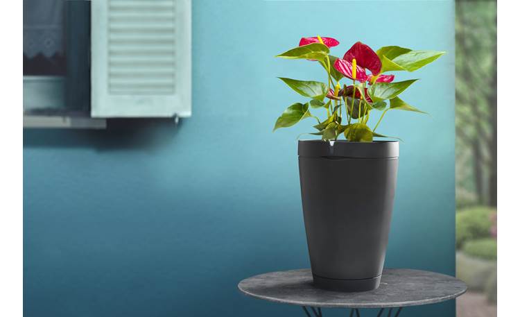 Parrot Pot (Slate Black) Self-watering gardening pot at Crutchfield