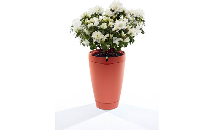 Parrot Pot (Brick Red) Self-watering gardening pot at Crutchfield