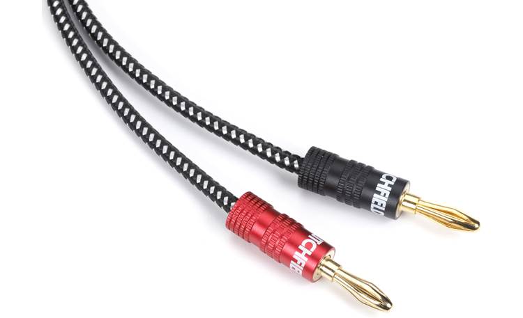 speaker cable plug types