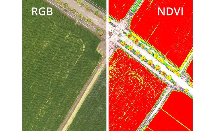 DJI P4 Multispectral Drone and Ground Station with Enterprise Shield ...