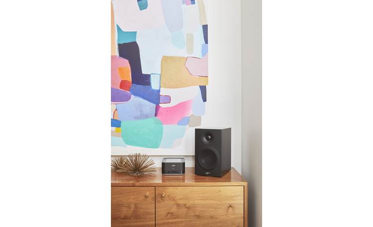 Paradigm Premier 100B (Black) Bookshelf speaker at Crutchfield