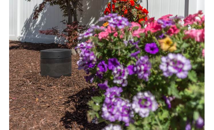 Coastal Source High-performance Bi-amped 2.1 Outdoor System Outdoor ...