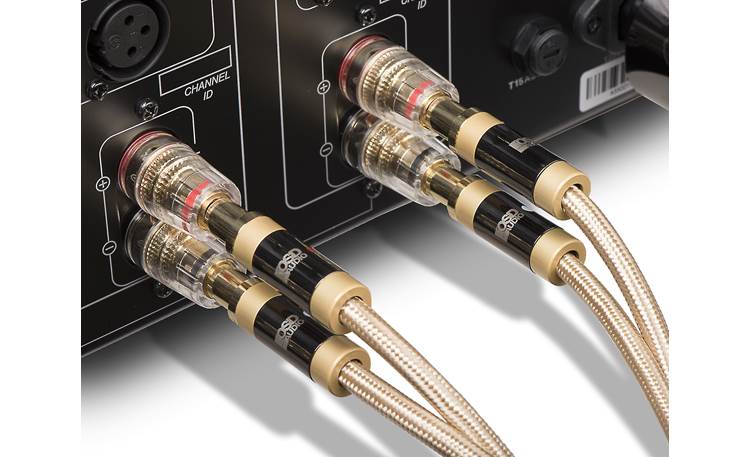 OSD Aurum 14-gauge Speaker Wire (10 meters/32 feet) Pair of audiophile ...