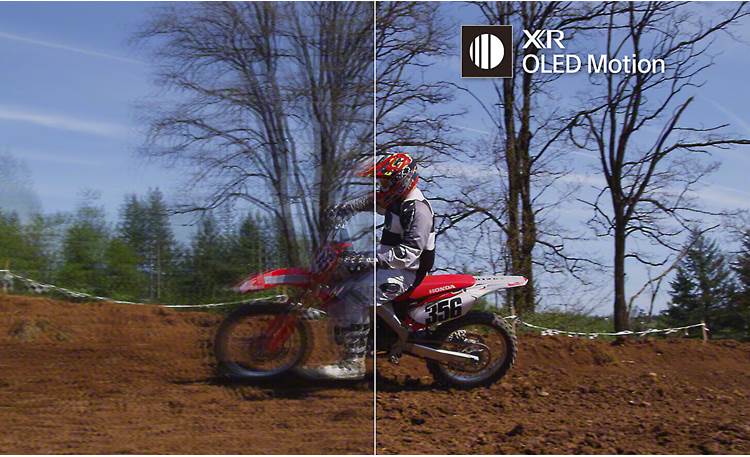 Sony BRAVIA 8 (K55XR80) (55") Smart OLED 4K TV with HDR at Crutchfield