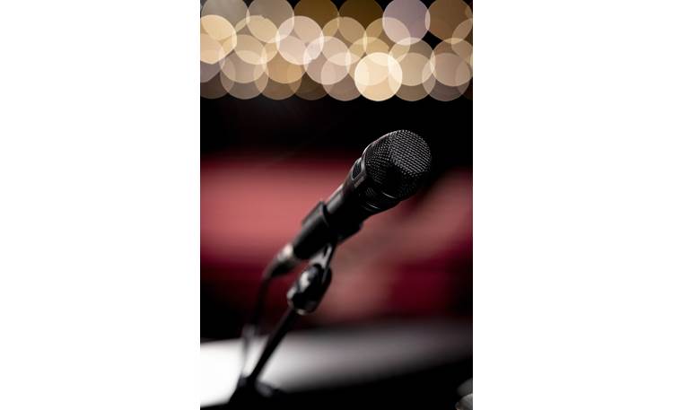 Shure NXN8/C Nexadyne™ Series cardioid dynamic microphone at Crutchfield