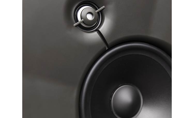 Definitive Technology AW-450 (Black) Outdoor speakers at Crutchfield