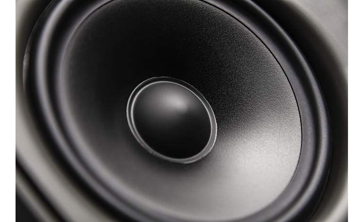 Definitive Technology AW-450 (Black) Outdoor speakers at Crutchfield