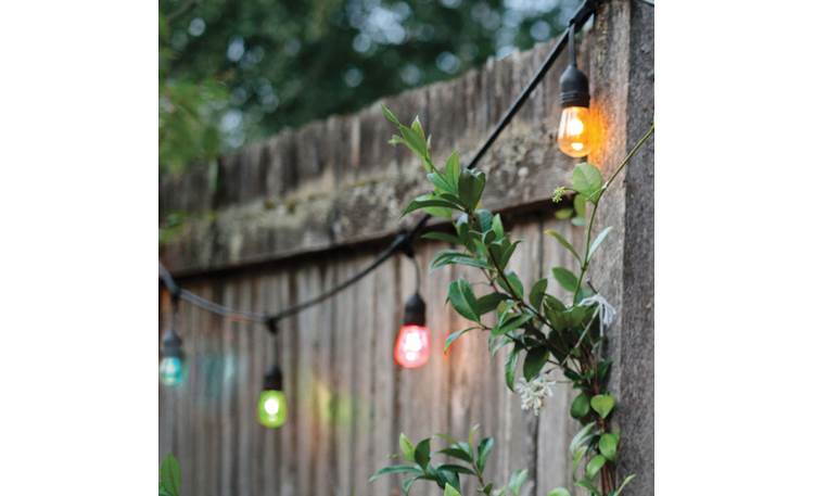 Satco Starfish RGB and Warm White Outdoor LED String Lights (24 feet ...