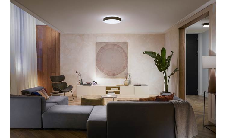 Philips Hue Enrave White Ambiance Ceiling Light (Medium) (Black) Smart ...
