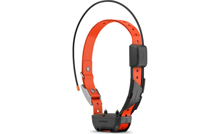 Garmin Alpha® TT 25 Tracking and training dog collar for use with ...