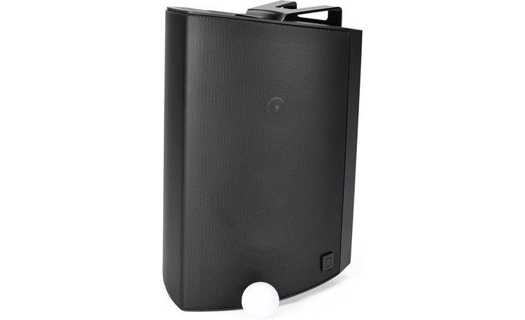Definitive Technology AW-650 (Black) Outdoor speakers at Crutchfield