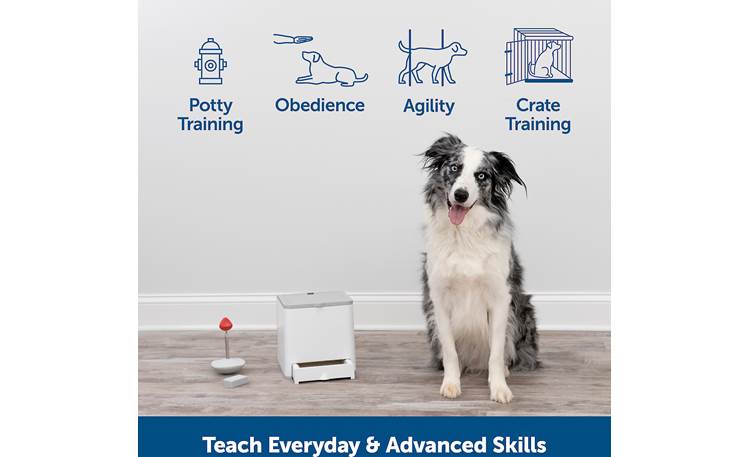 PetSafe Teach & Treat Remote Reward Trainer Automatic dog treat ...
