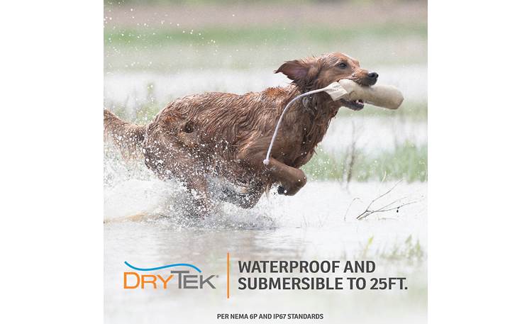 SportDOG® SportHunter® 825X Long-range training collar for sporting ...