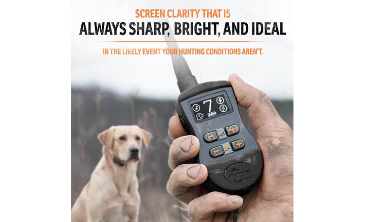 SportDog® SportTrainer® 875 (Gray) Training collar for close-working ...