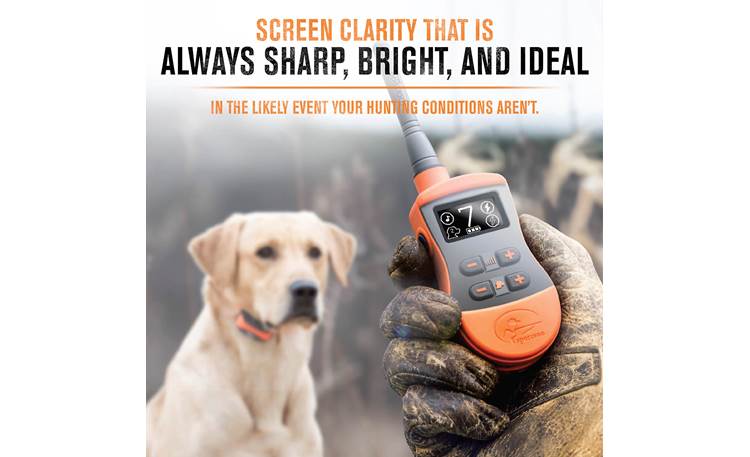 SportDog® SportTrainer® 875 (Orange) Training collar for close-working ...