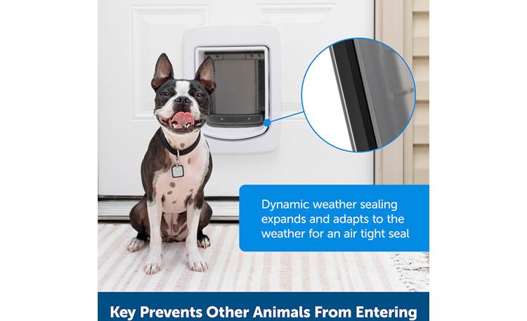 PetSafe SmartDoor™ Connected Pet Door (Large) Automatic door for large ...