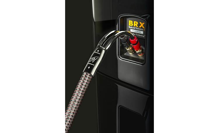 AudioQuest Rocket 33 Full-Range (8-foot pair) Speaker cables with pre ...