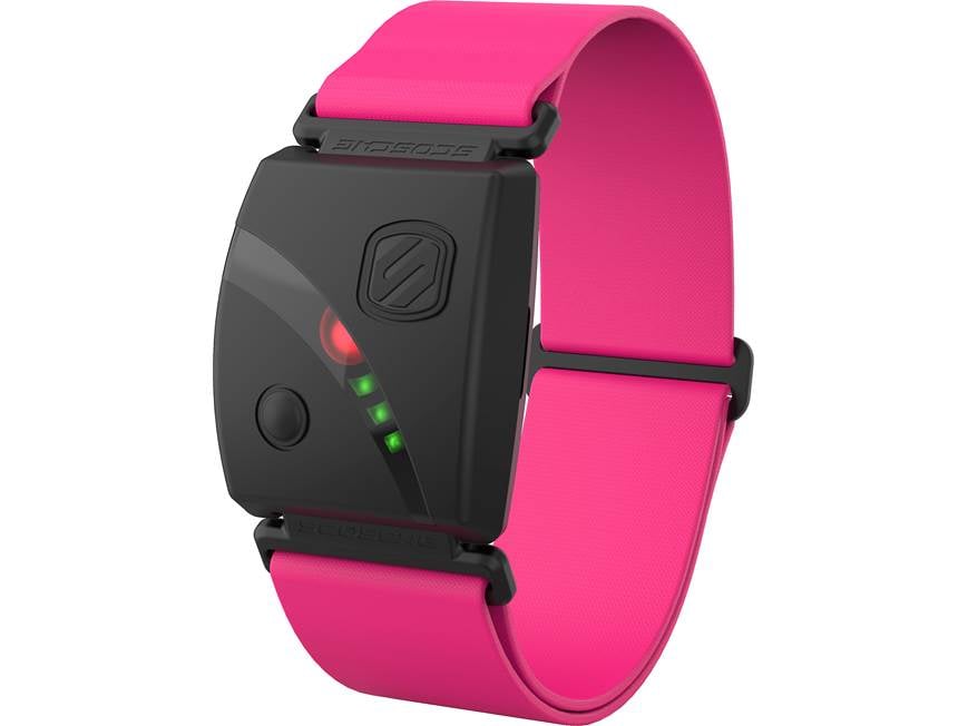 Scosche Rhythm24™ (Pink) Waterproof armband heart rate monitor (Pink ...