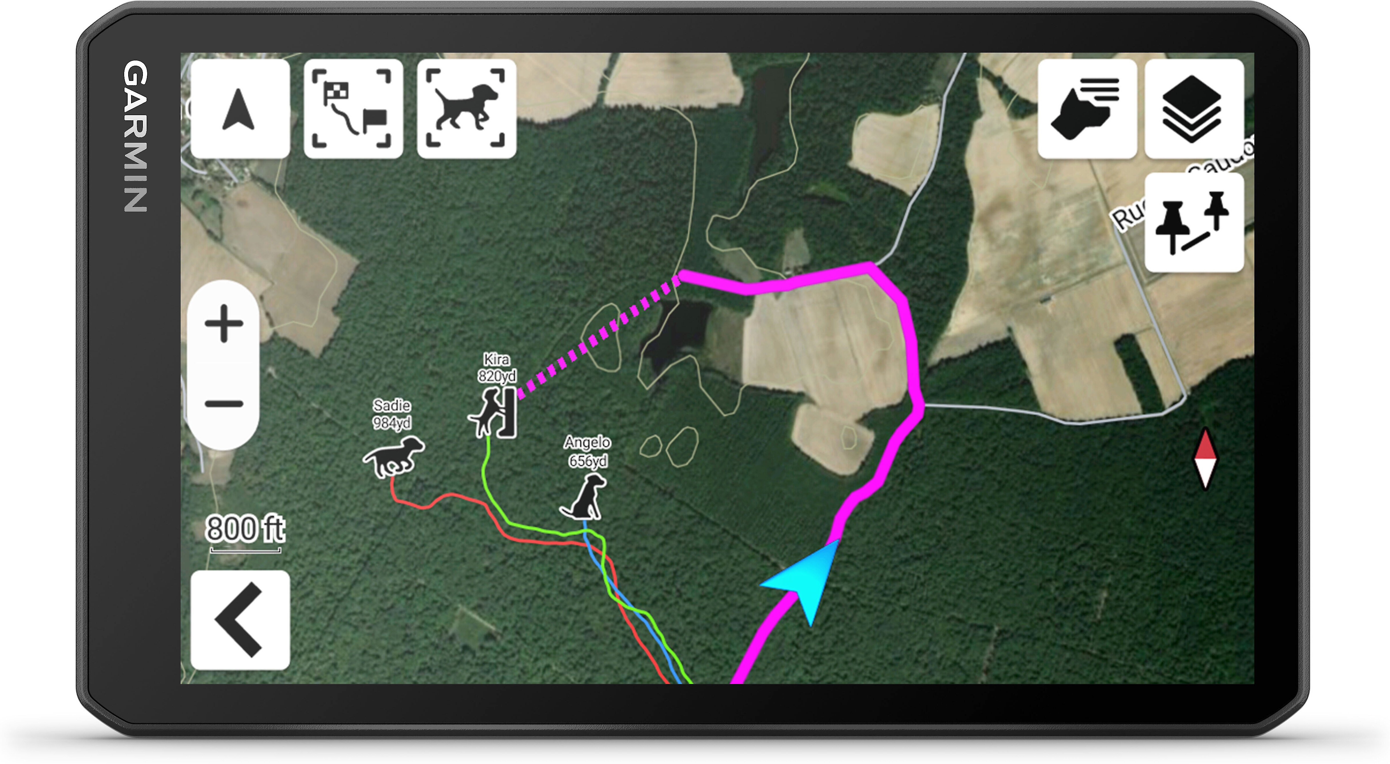 New Arrivals & Recently Released 2026 Pet GPS & Activity Monitors ...