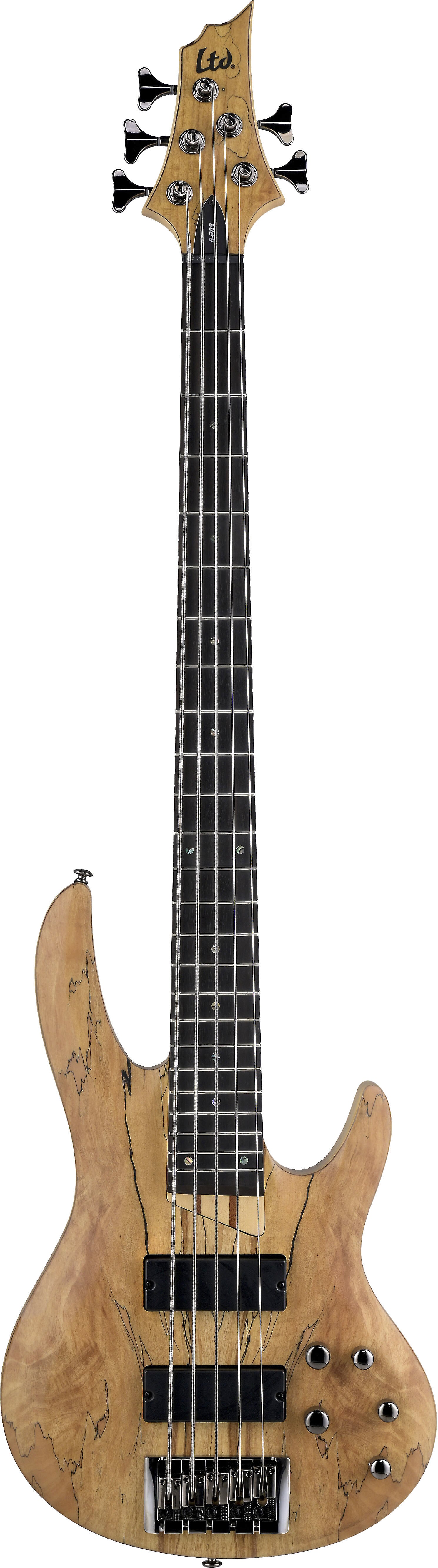 New Arrivals & Recently Released 2026 Bass Guitars | Crutchfield